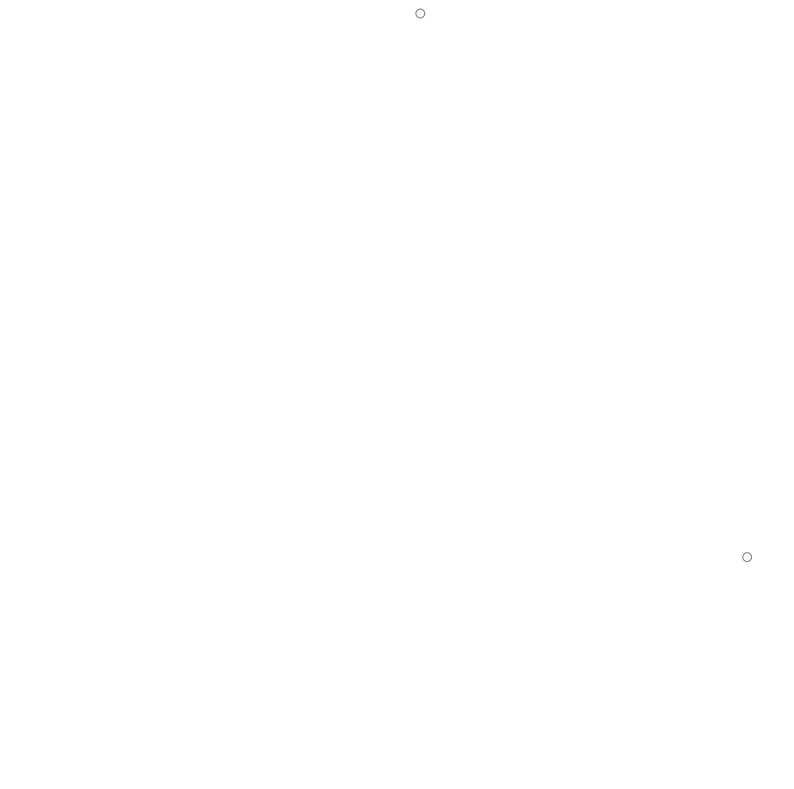 Santanera – Paz Studio Bali