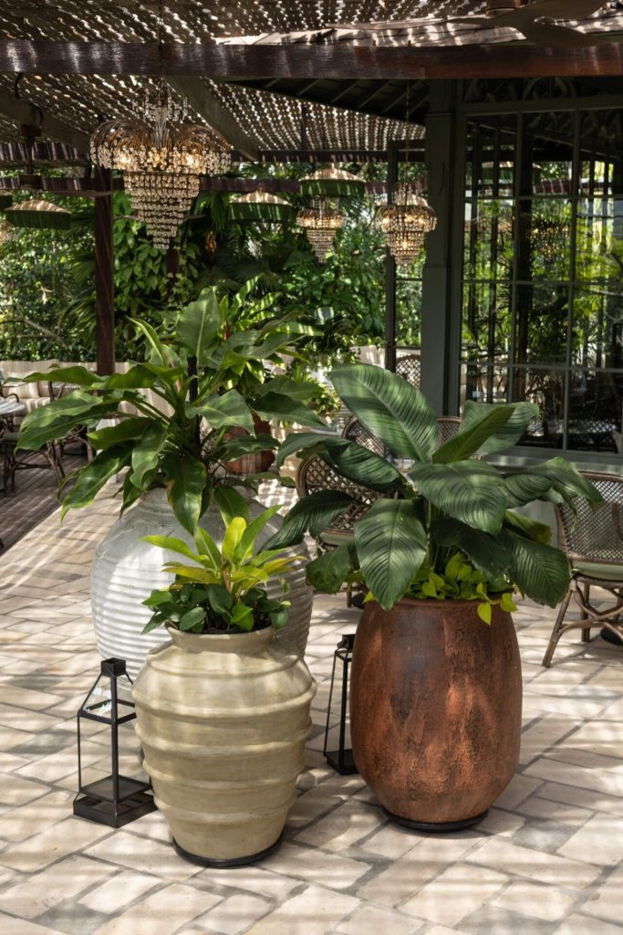 Plant Bistro – Paz Studio Bali